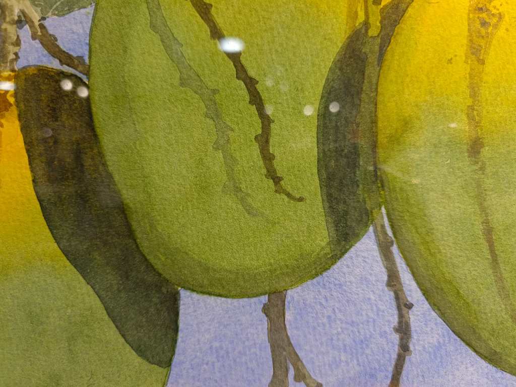 Mangoes series on paper by Zaharuddin Sarbini – PRO ART & FRAME