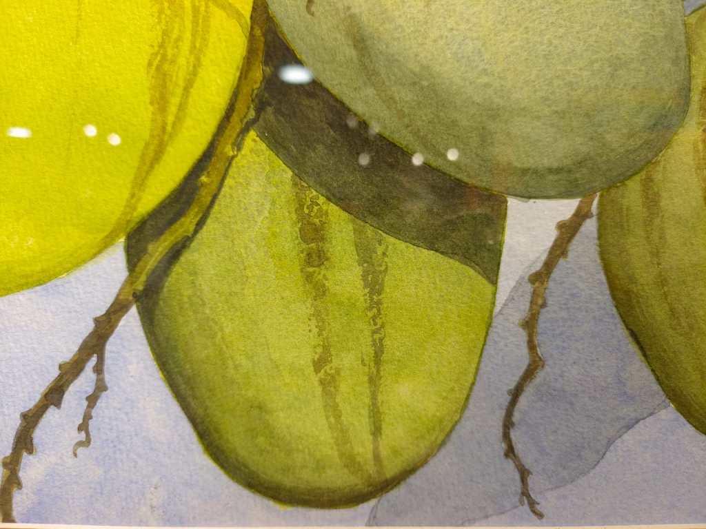 Mangoes series on paper by Zaharuddin Sarbini – PRO ART & FRAME