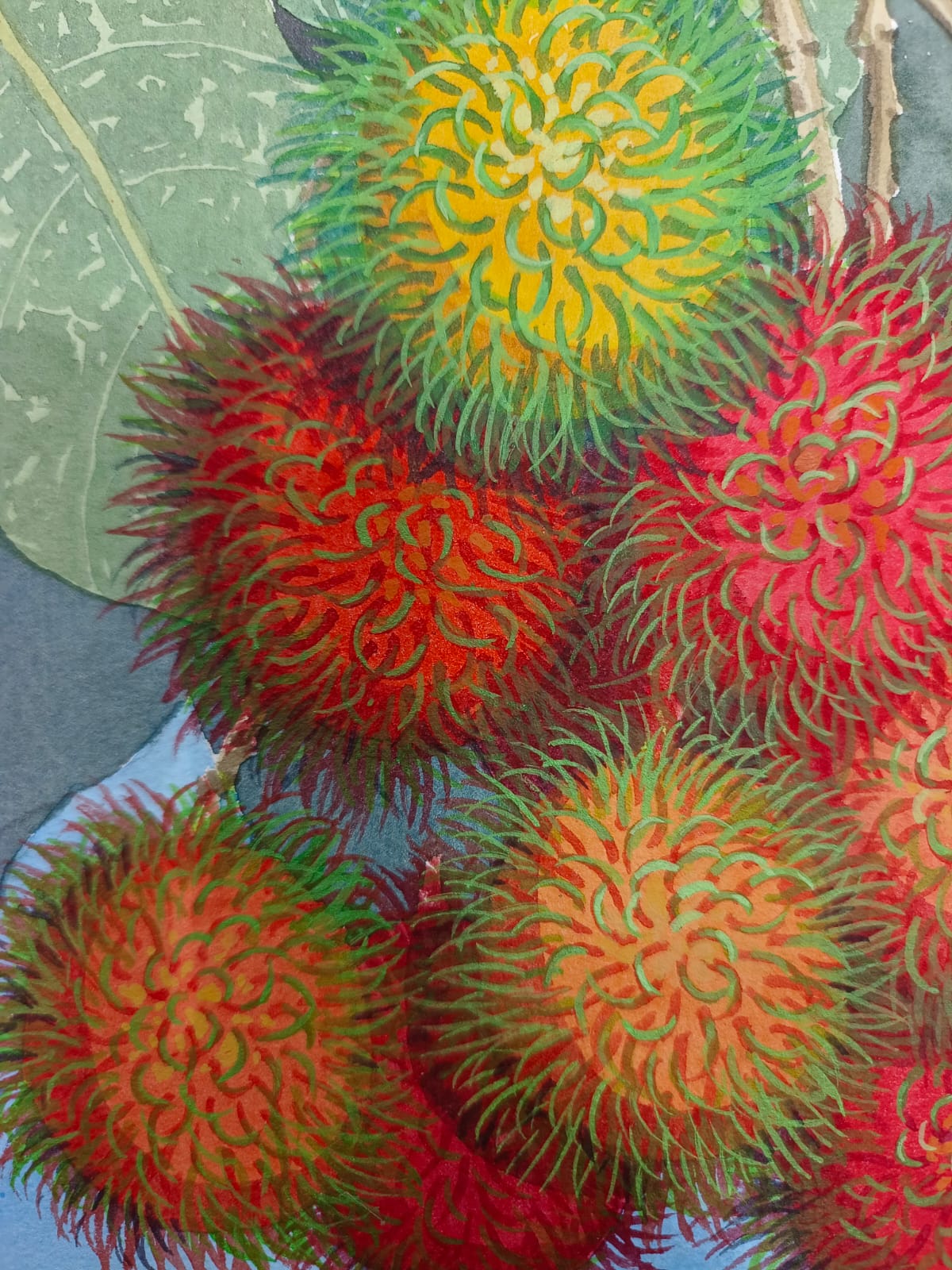 Rambutan – by Zaharuddin – PRO ART & FRAME